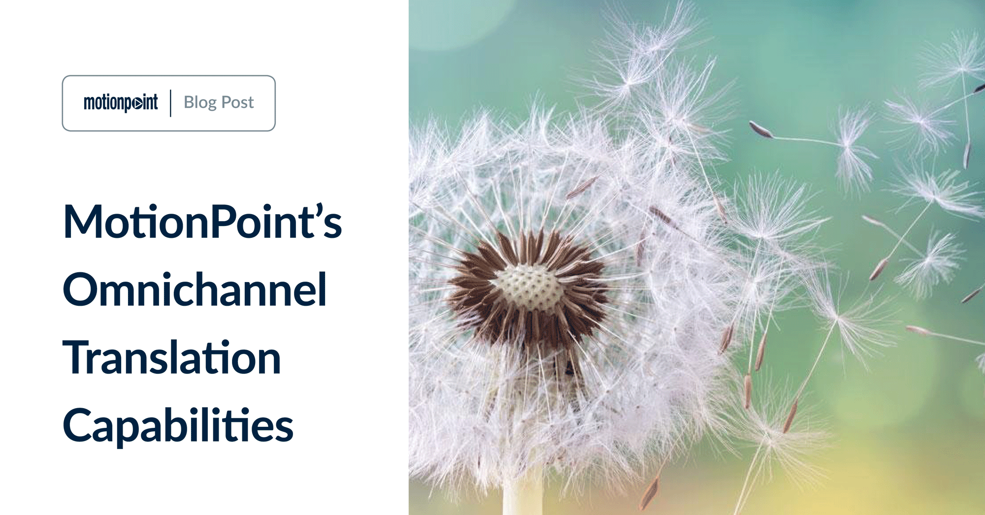 MotionPoint’s Omnichannel Translation Capabilities