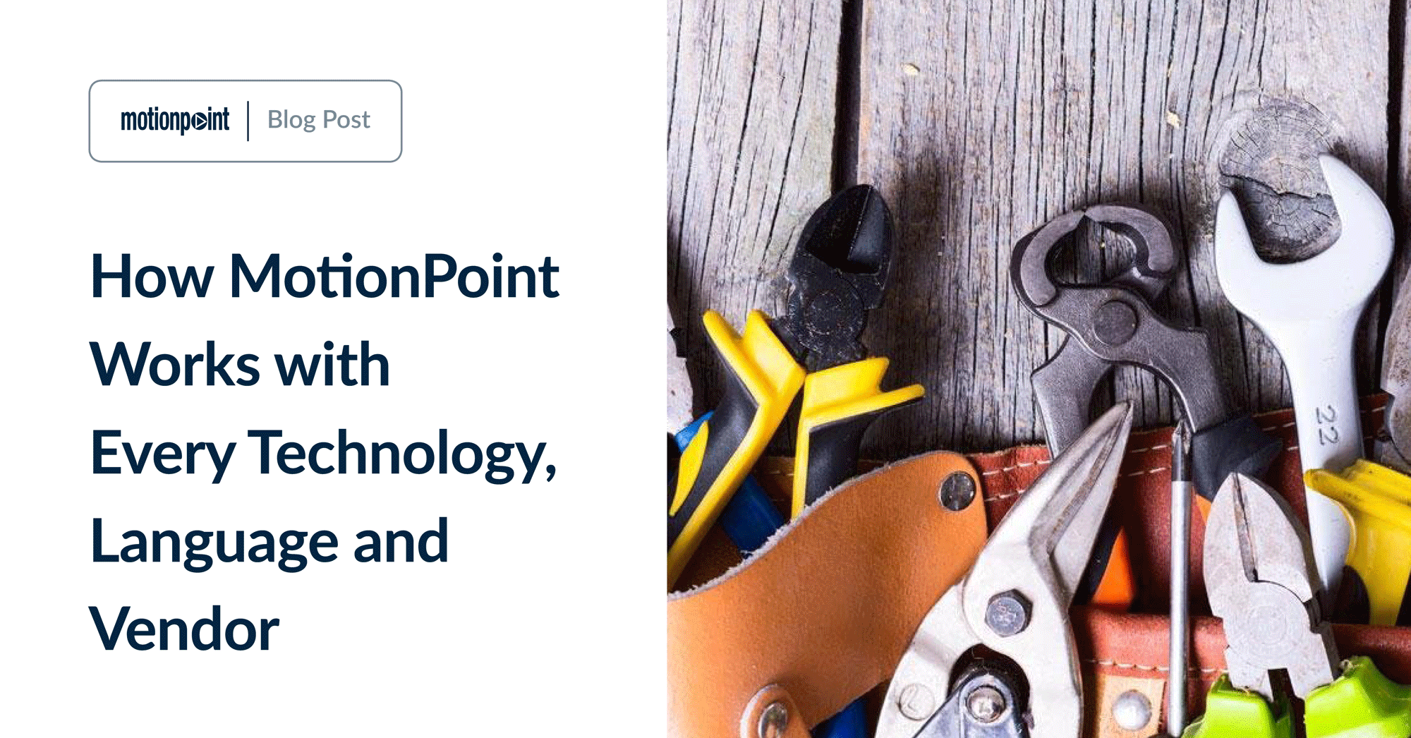 How MotionPoint Works with Every Technology, Language and Vendor