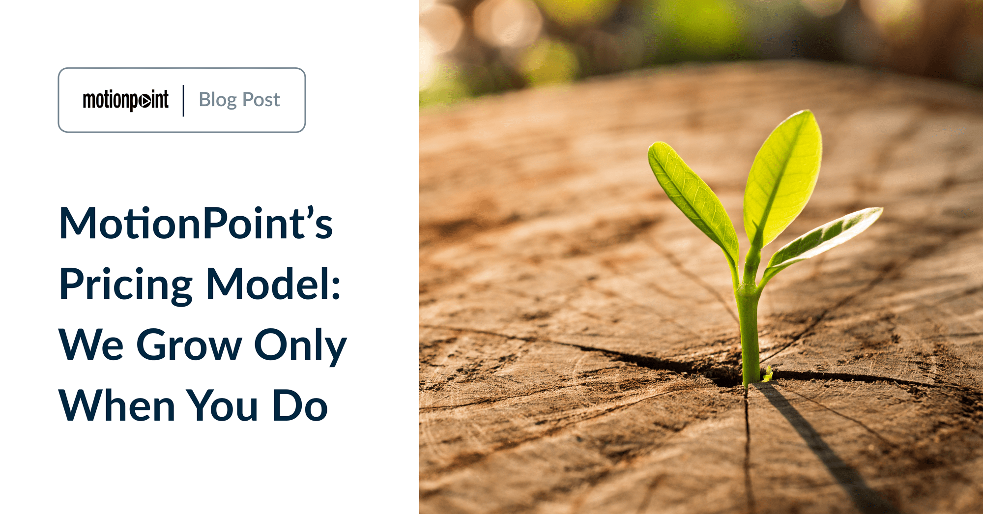 MotionPoint’s Pricing Model: We Grow Only When You Do