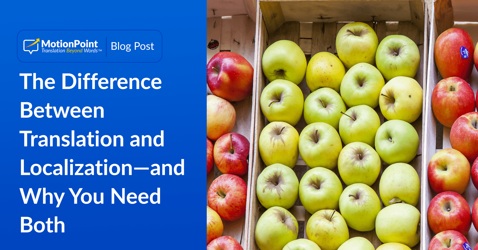 The Key Differences Between Translation and Localization