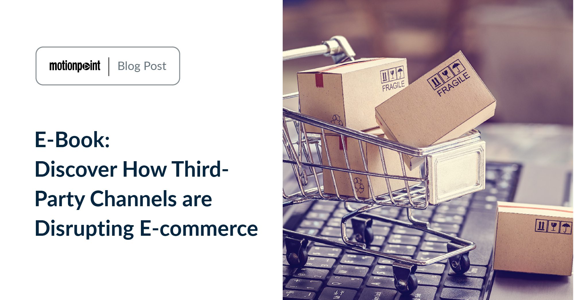 E-Book: Discover How Third-Party Channels are Disrupting E-commerce