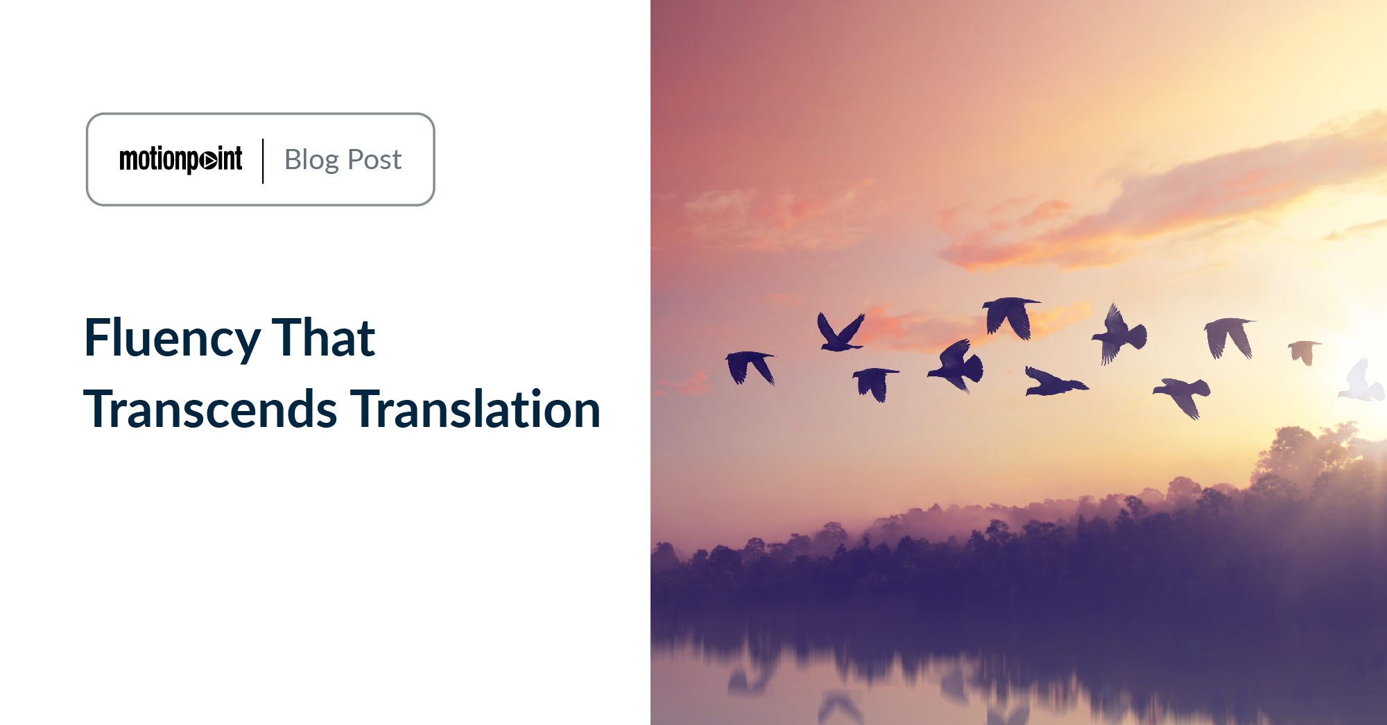Fluency That Transcends Translation