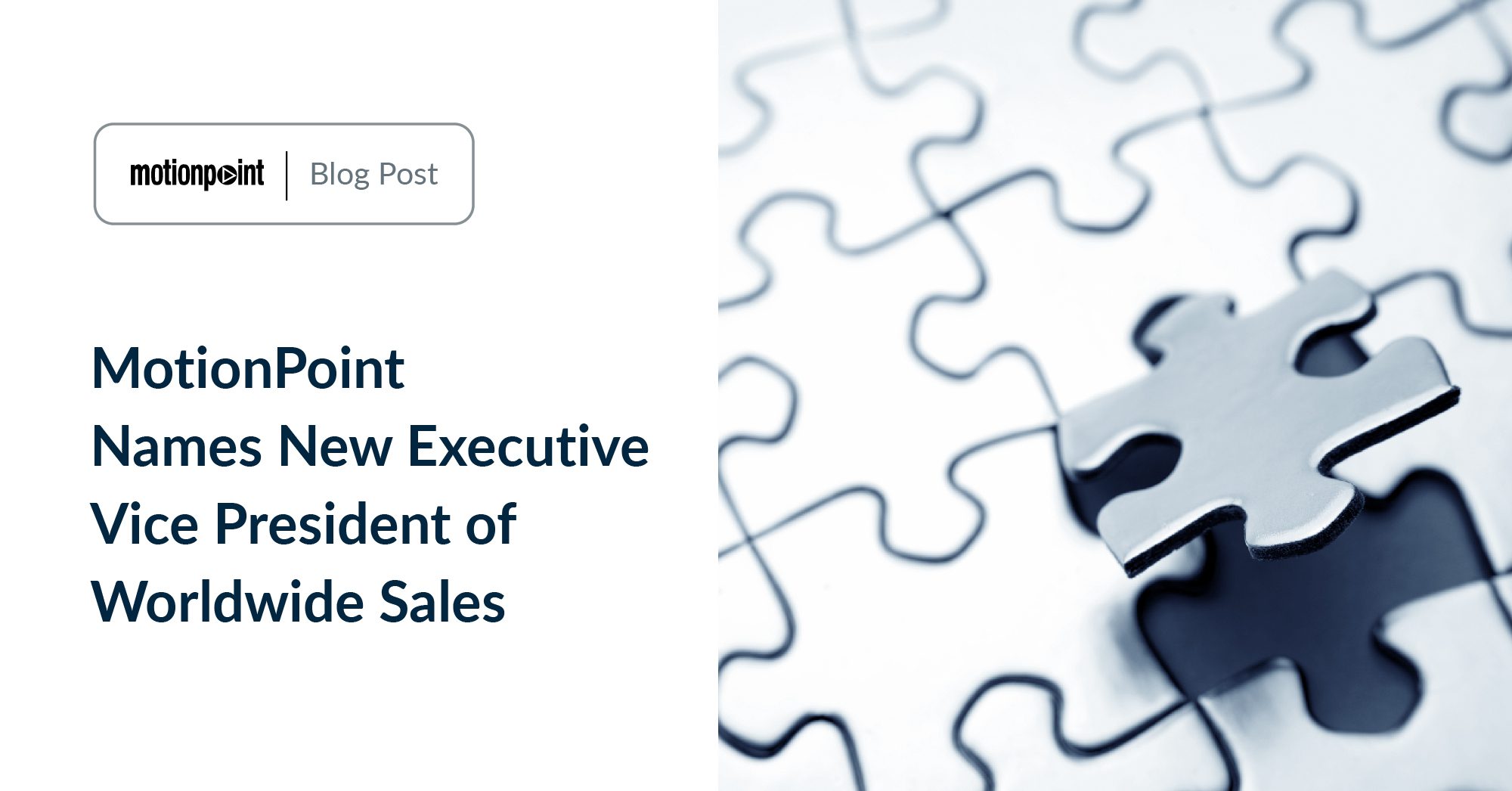 MotionPoint Names New Executive Vice President of Worldwide Sales
