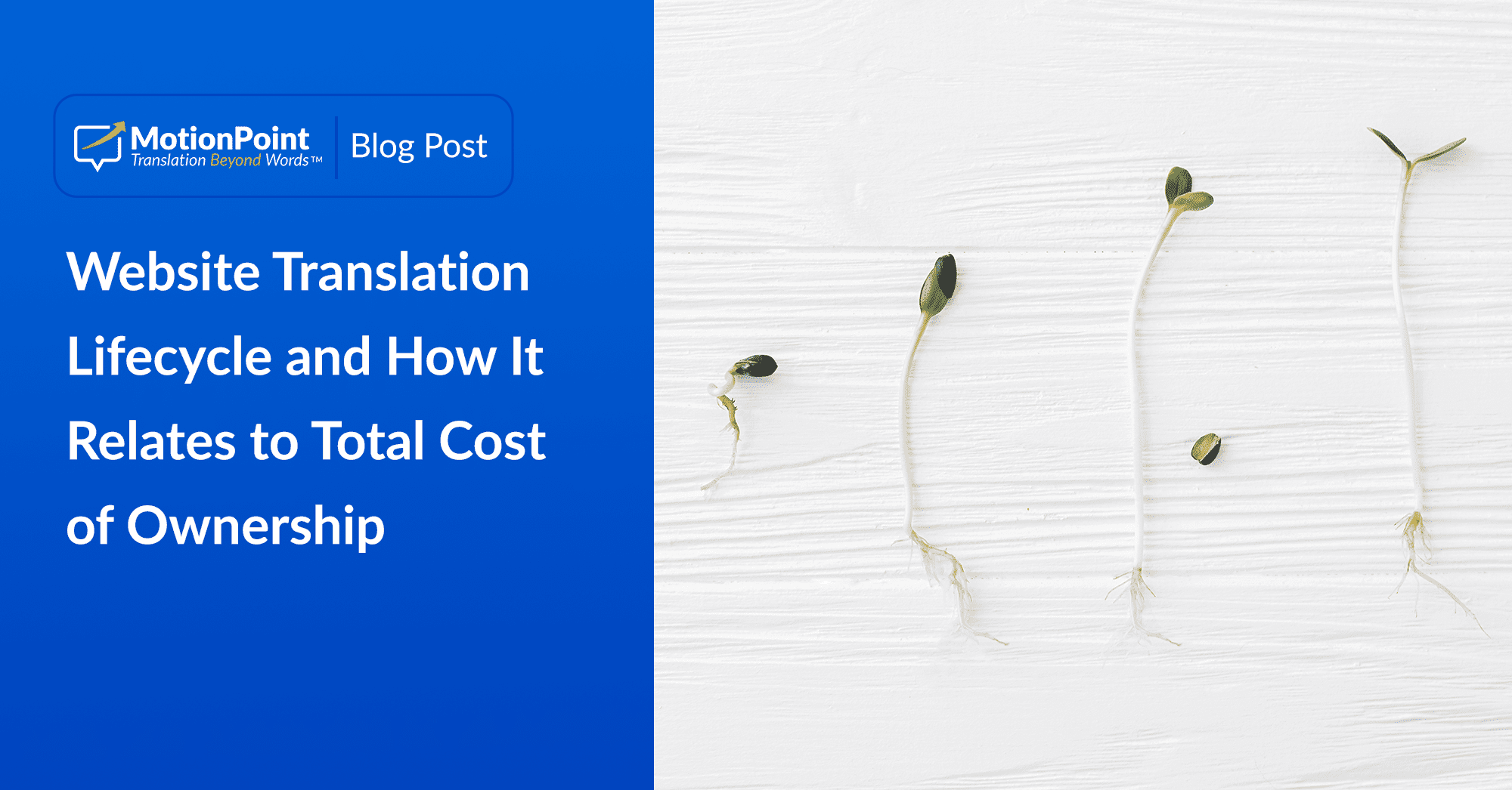 What is the Cost of a Translation Lifecycle?